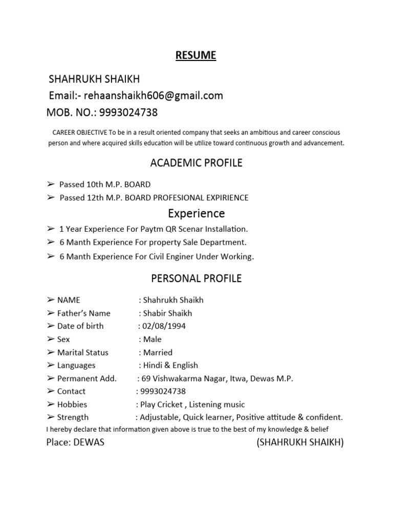 Shahrukh Shaikh Resume Overview | PDF