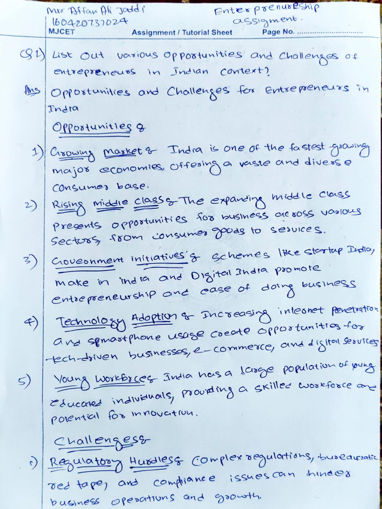 Entrepreneurship Assignment | PDF