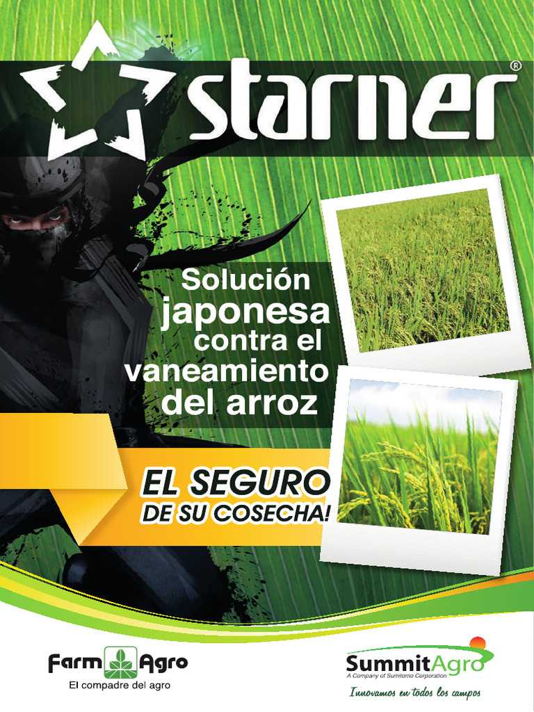 Starner | PDF