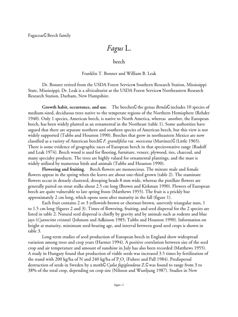 Beech Tree Growth and Seed Management | PDF | Beech | Seed