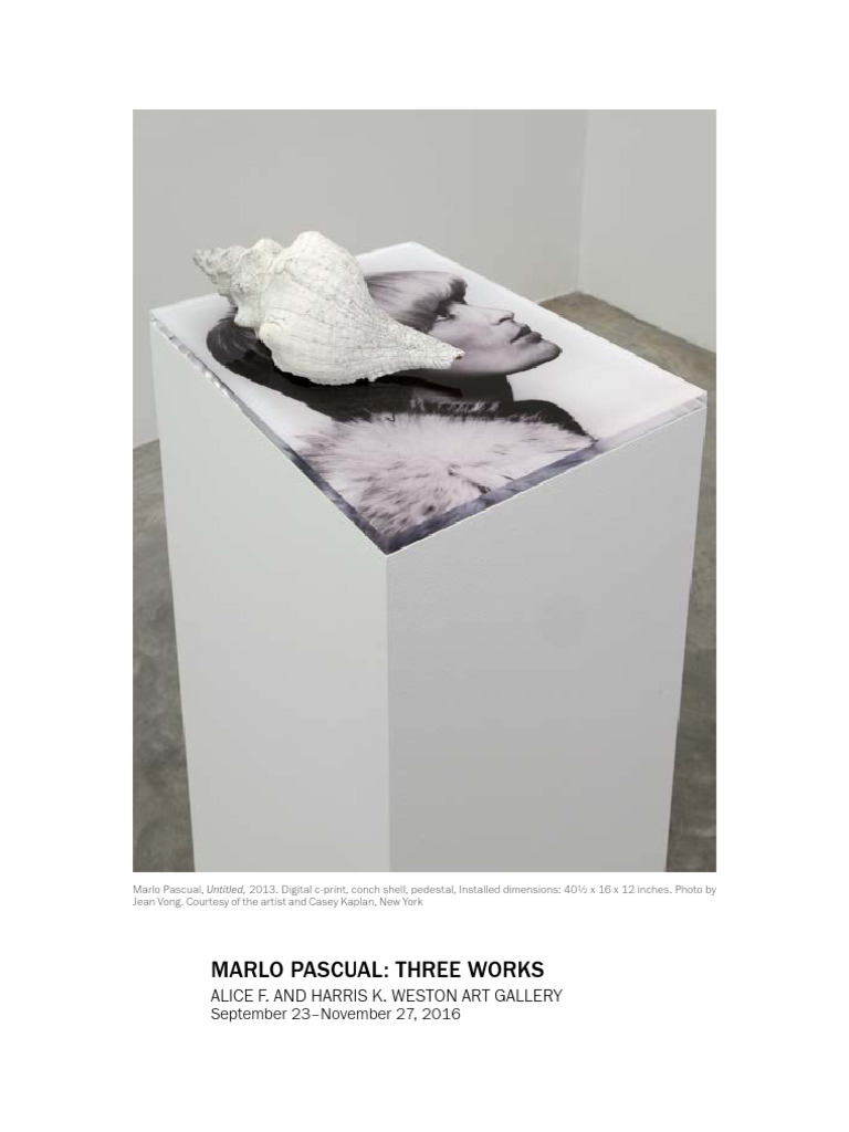 FotoFocus Biennial 2016 Marlo Pascual Three Works Gallery Guide | PDF ...