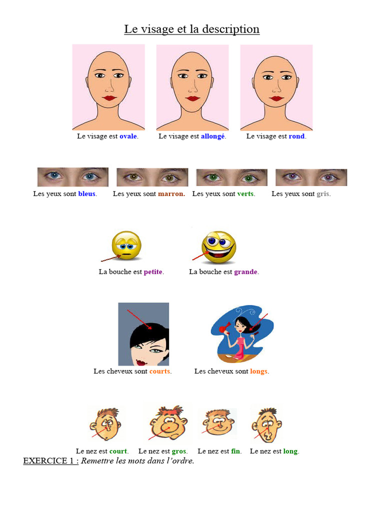 12.le Visage Description+1 Ex | PDF