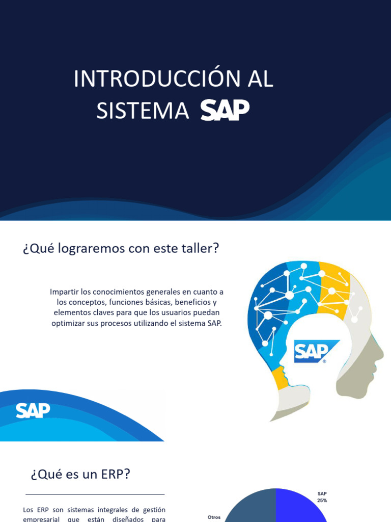 Introducción Al Sistema SAP | PDF | Planificación de recursos ...