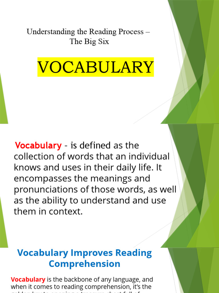 The Big Six of Reading | PDF | Reading Comprehension | Vocabulary