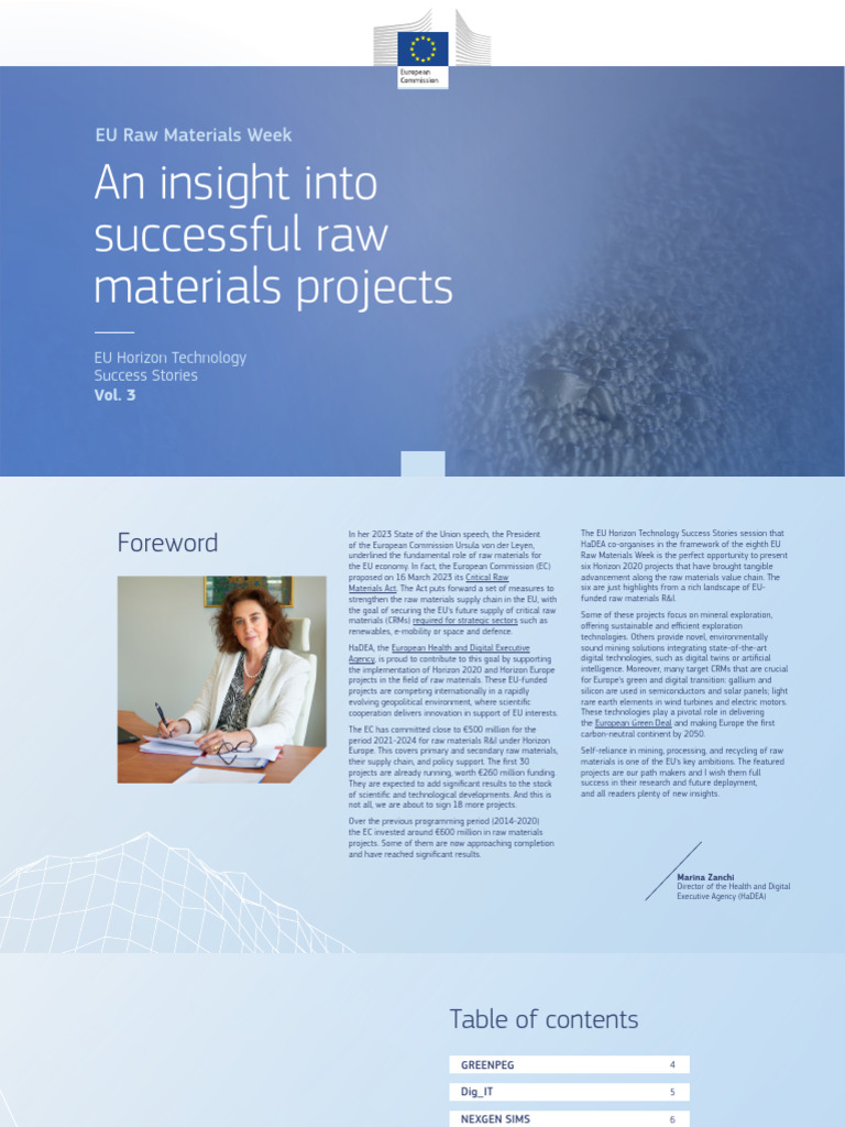 An Insight Into Successful Raw Materials Projects-HWAB23002ENN | PDF ...