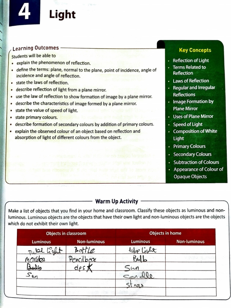 Light Physics Icse | PDF | Reflection (Physics) | Mirror