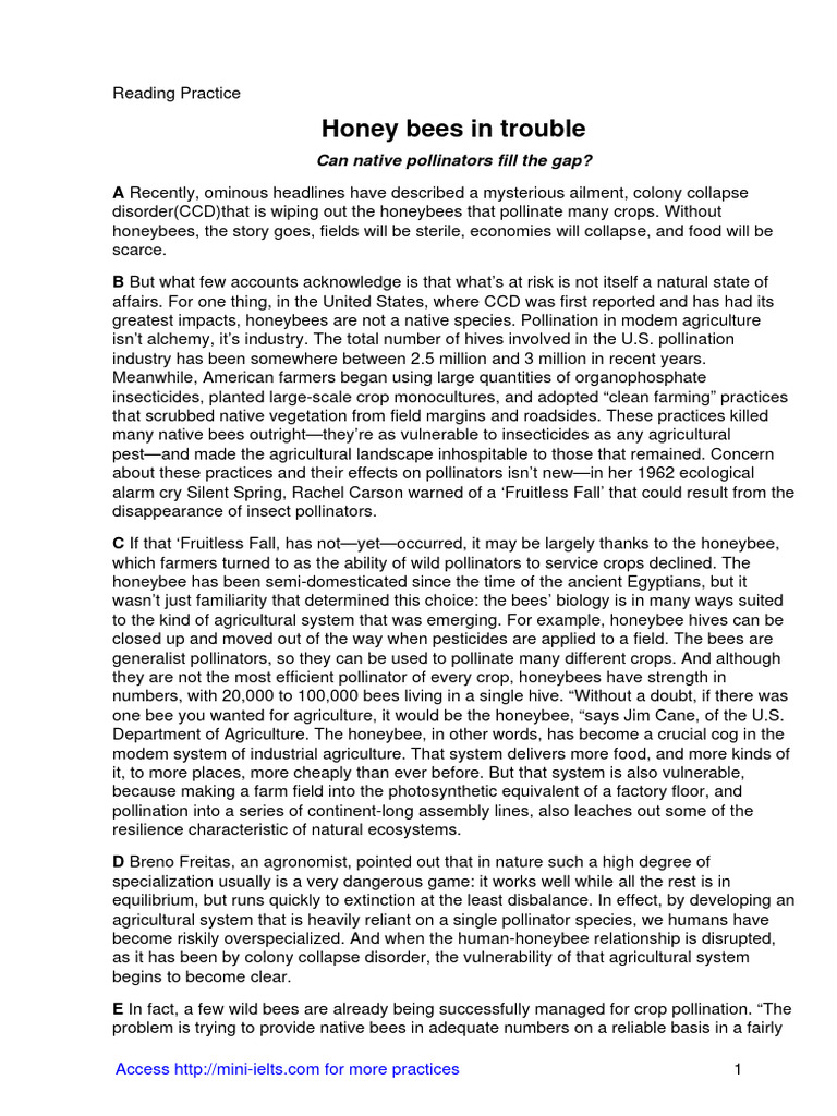 Honey Bees in Trouble | PDF | Honey Bee | Pollination