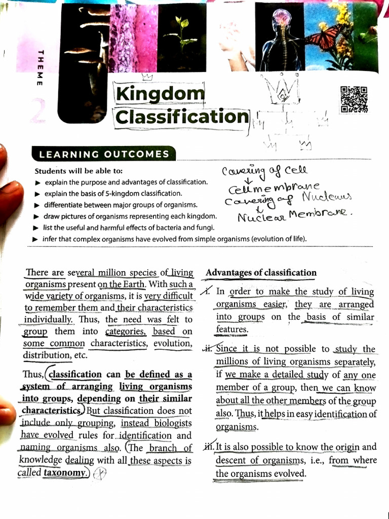 Kingdom Classification Class 7 | PDF