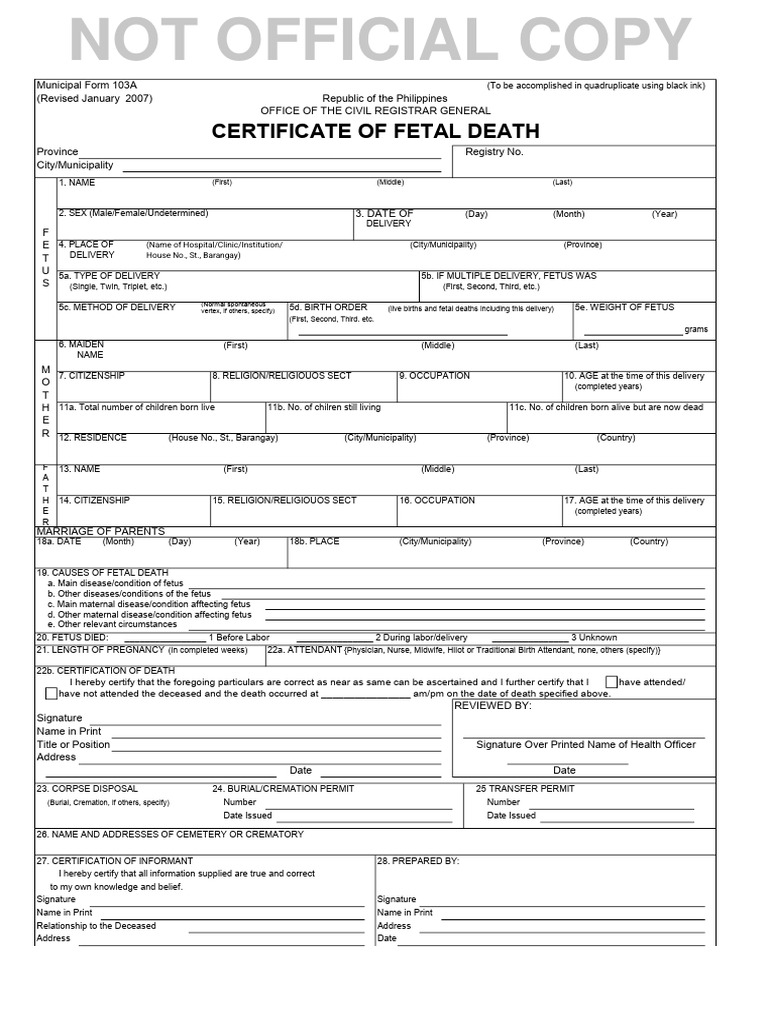 Fetal Death Certificate Guidelines | PDF | Affidavit | Childbirth