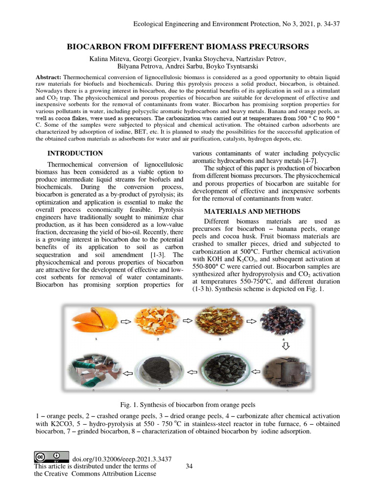 Biocarbon Production from Biomass Waste | PDF | Adsorption | Pyrolysis