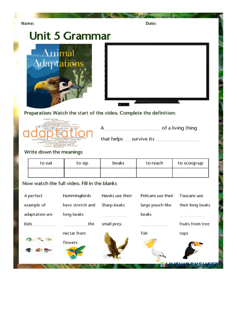 Adaptation work sheet 2 | PDF