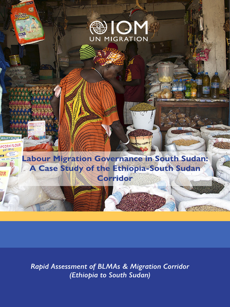 south sudan and ethiopia | PDF | Human Migration | Migrant Worker