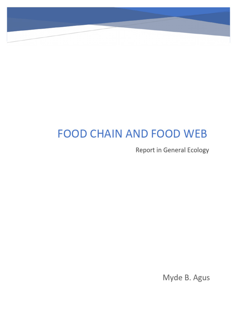 Food Chain and Food web report | PDF | Food Web | Foods