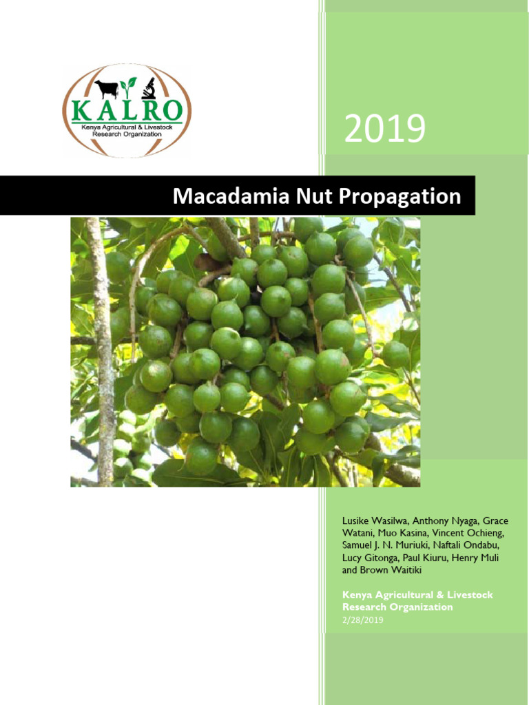 Macadamia Seedlings Mobile App TEMPLATE March 2019 DRAFT LW TN-1 | PDF | Nut (Fruit) | Soil