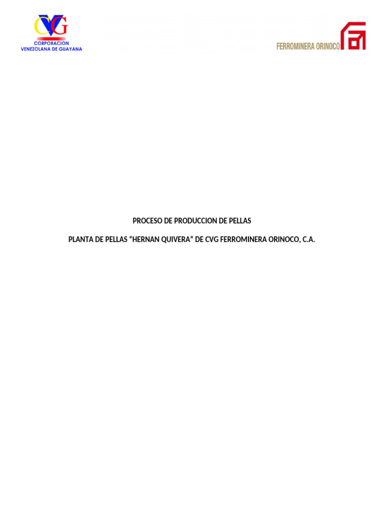 Proceso de Produccion de Pellas | PDF | Sector secundario de la economía