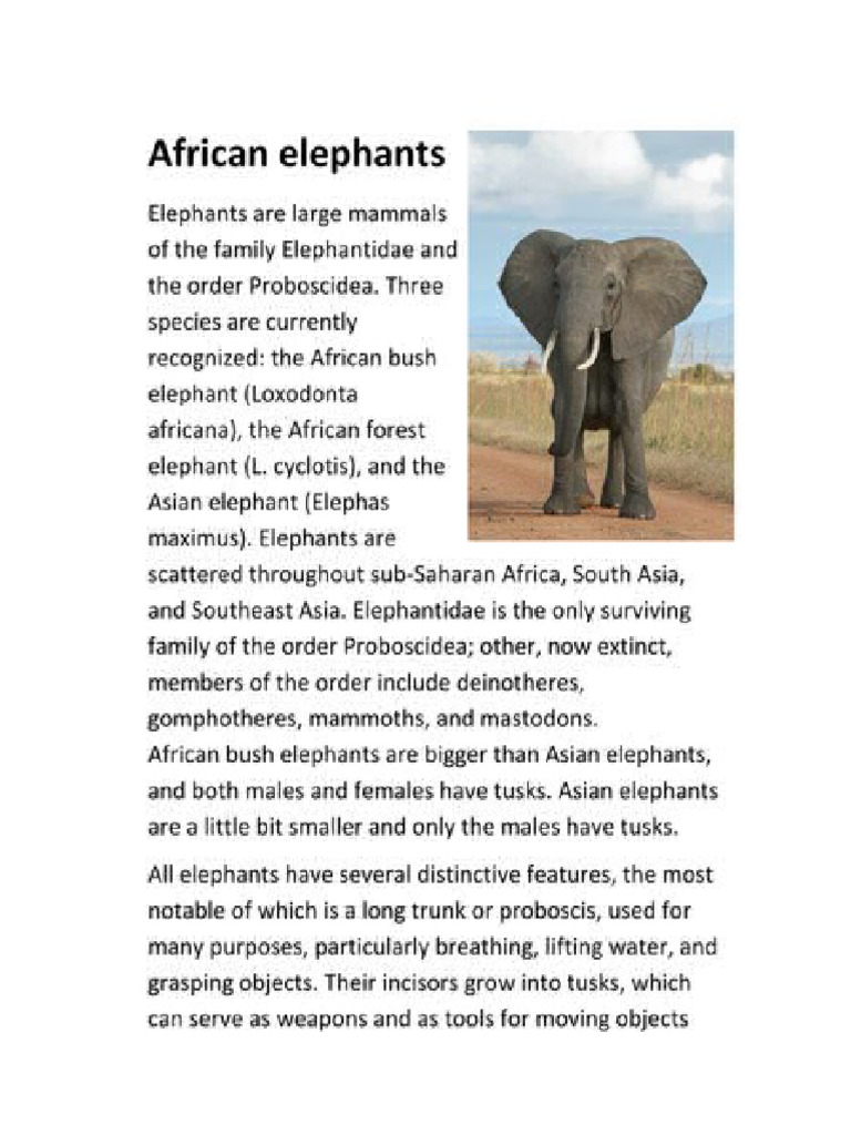ELEPHANTS HANDOUT | PDF