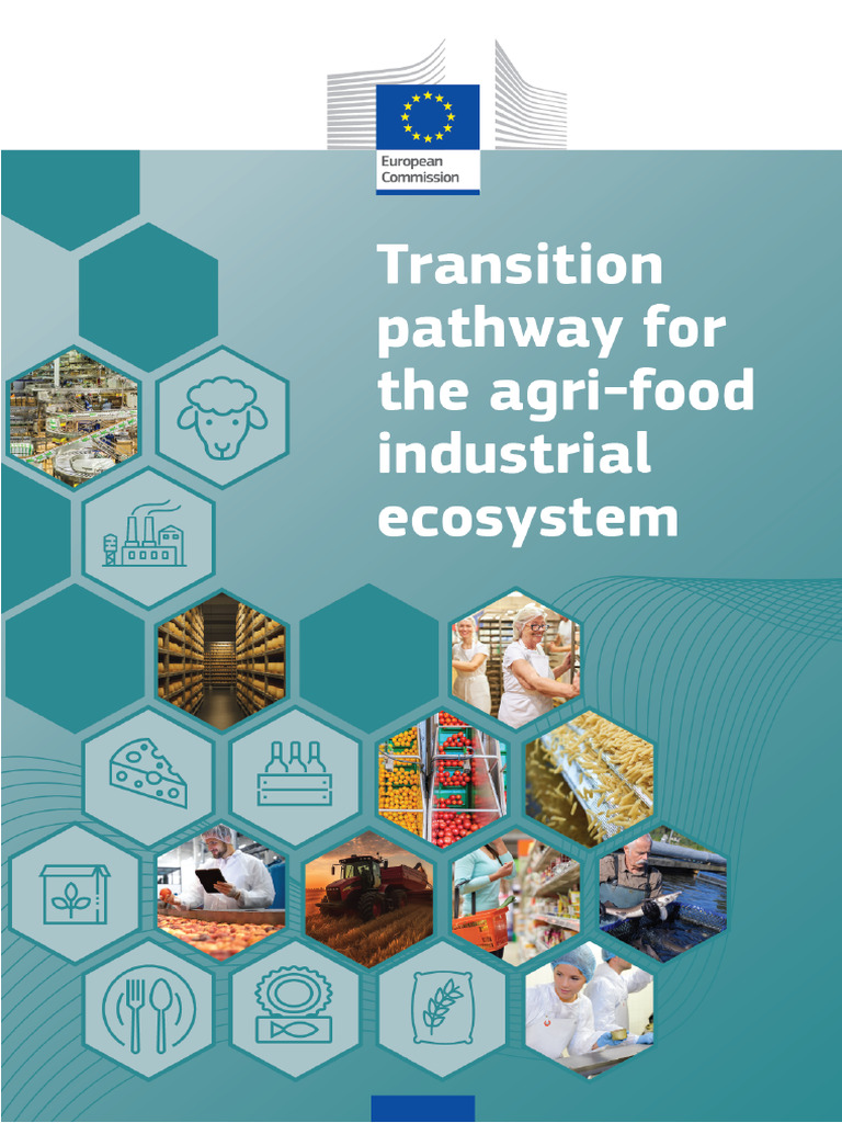 Transition Pathway For The Agri-Food Industrial Ecosystem | PDF ...