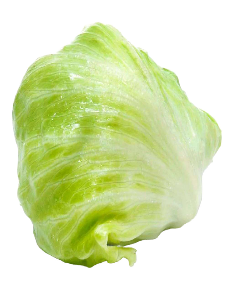 Alface Americana | PDF