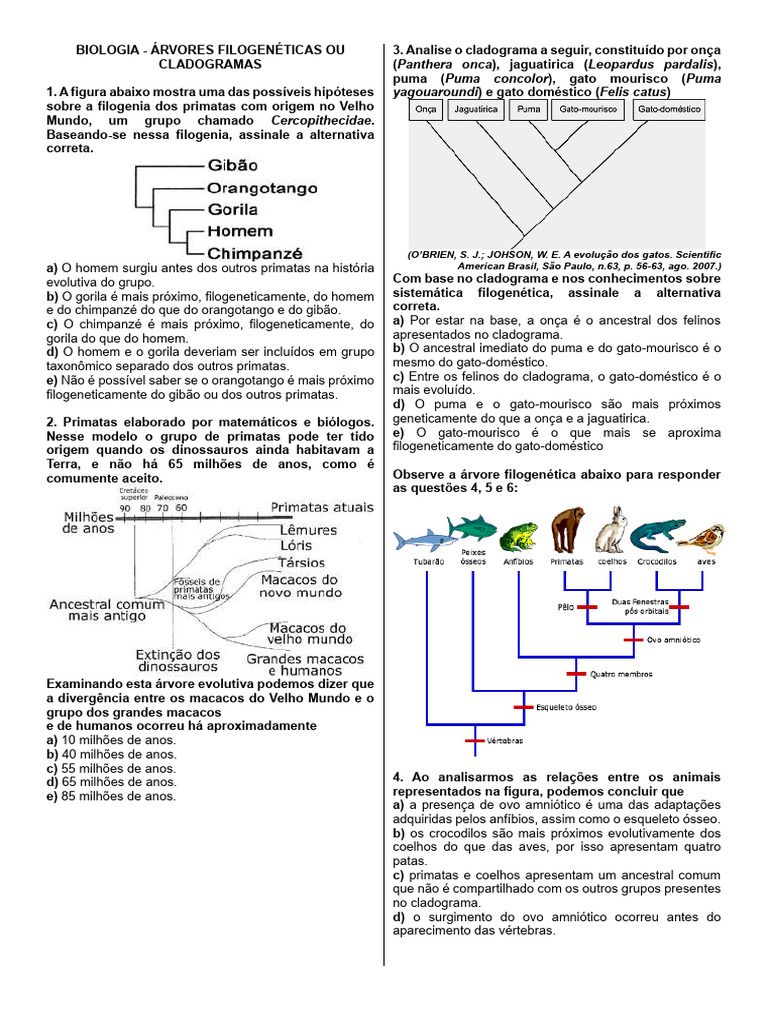 2.1 Atividade Cladogramas | PDF | Filogenética | Hominidae