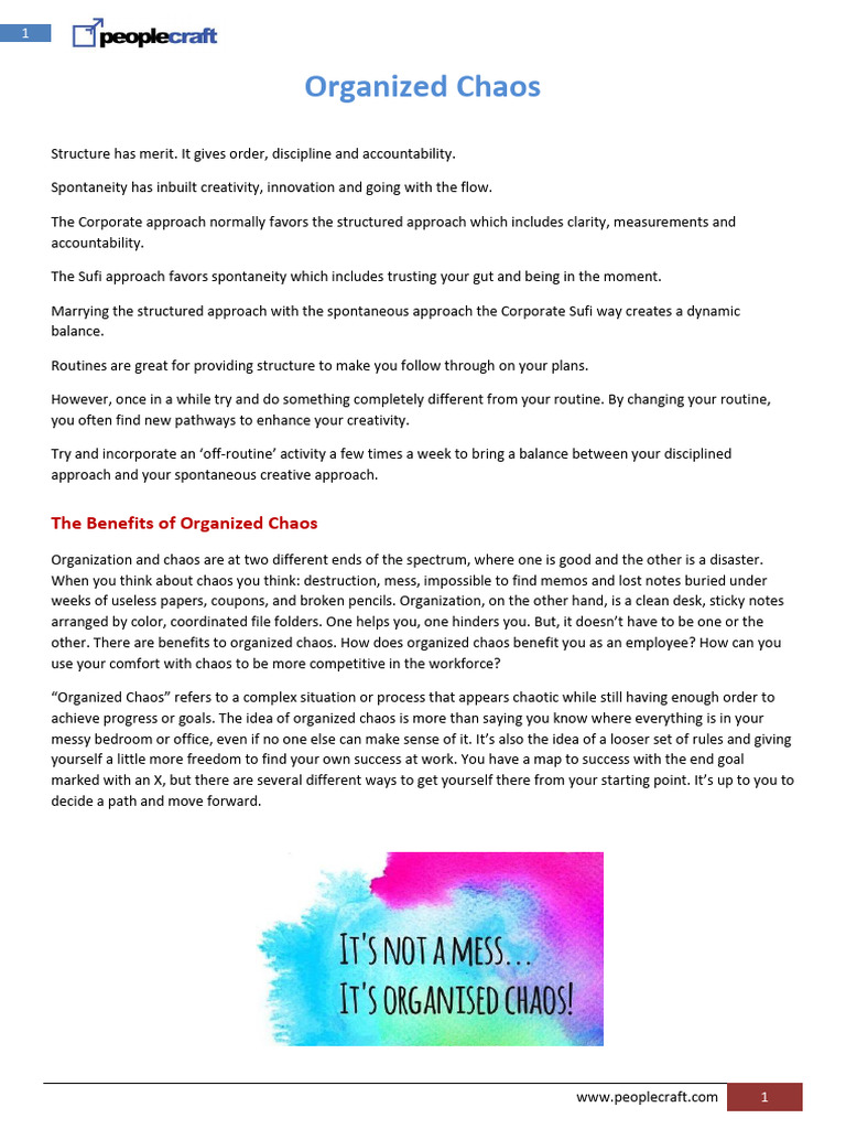 Organized Chaos | PDF | Social Psychology | Cognition