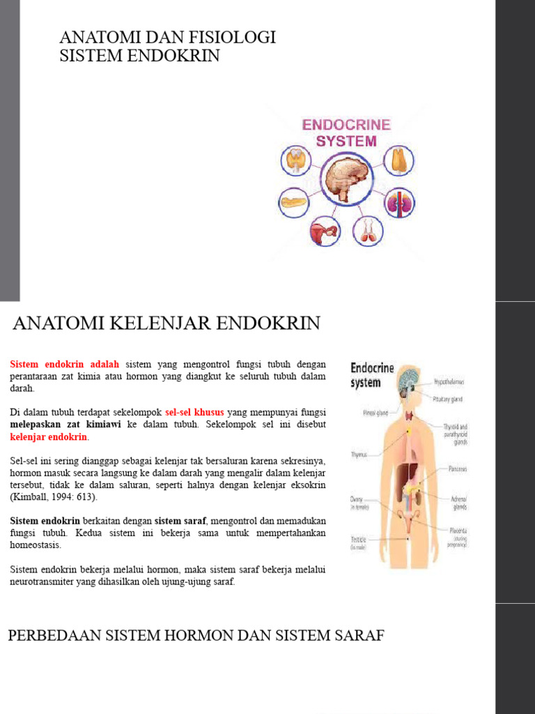 Materi 7 Sistem Endokrin | PDF