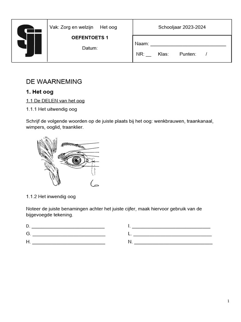 Kopie Van Oefentoets 1 Het Oog | PDF