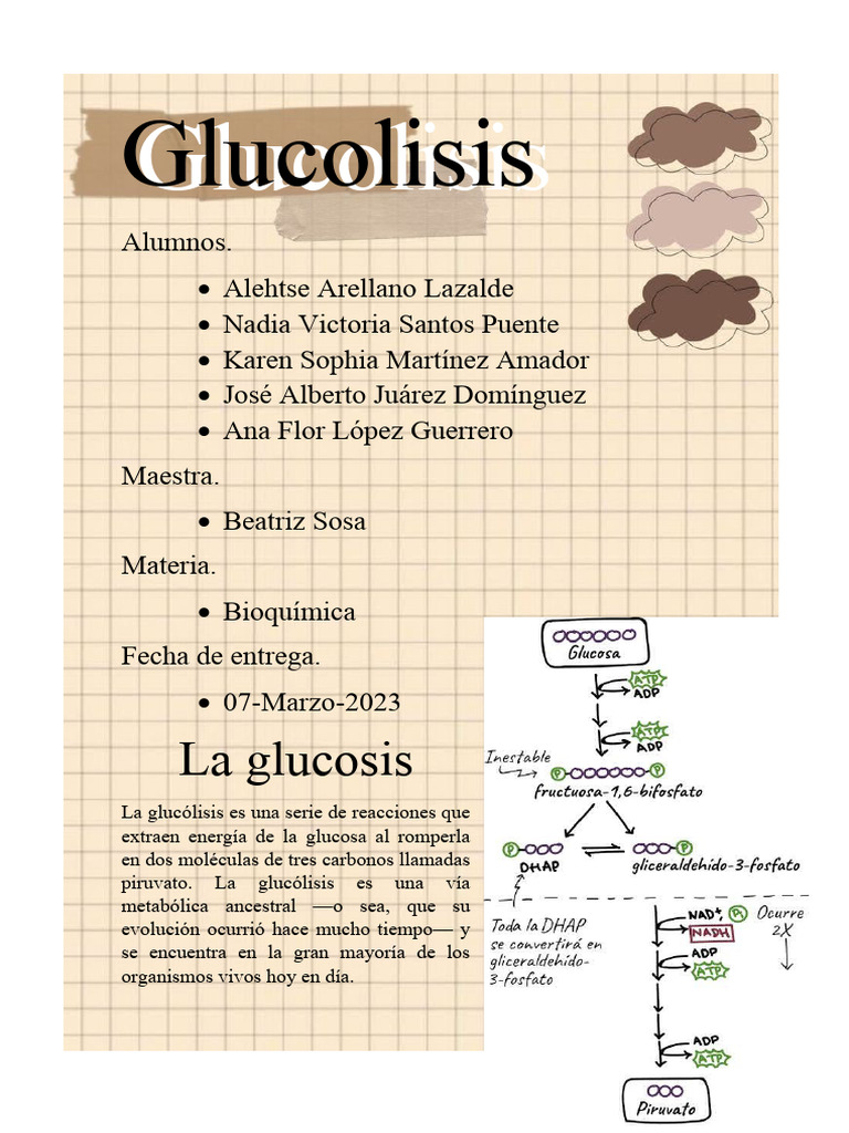 Glucolisis Infografía | PDF | Glucólisis | Trifosfato de adenosina