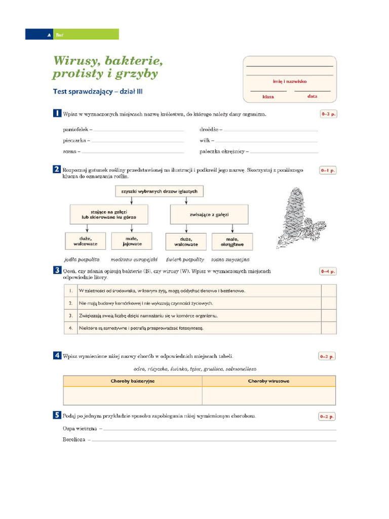 Biologia KL 5 Wirusy, Bakterie, Protisty, Grzyby A | PDF