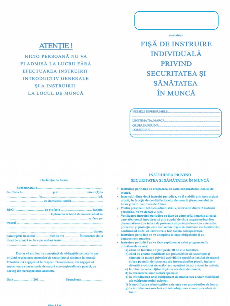 Fisa Instruire SSM Scanat Model | PDF
