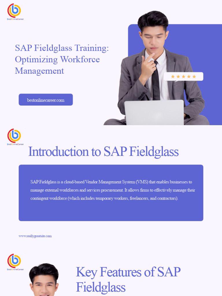 SAP Fieldglass Workforce Management Guide | PDF