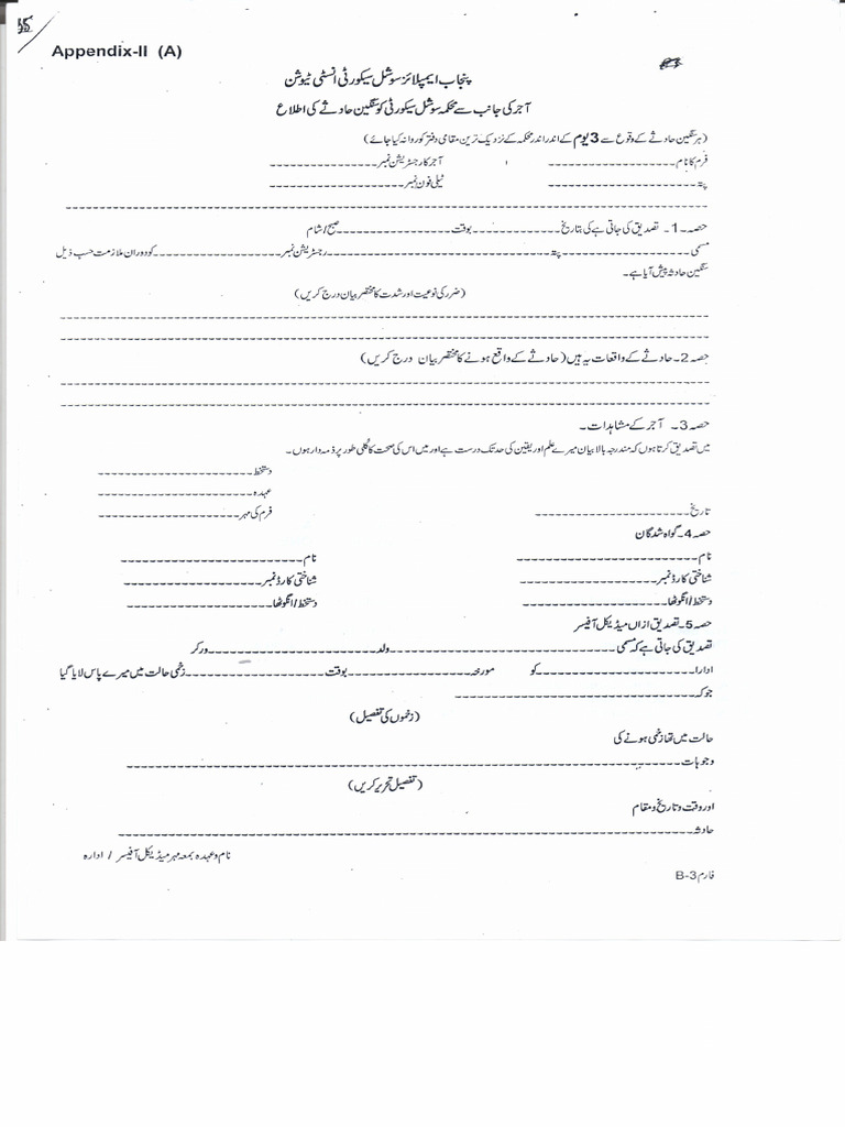 B 3 Form Pdf