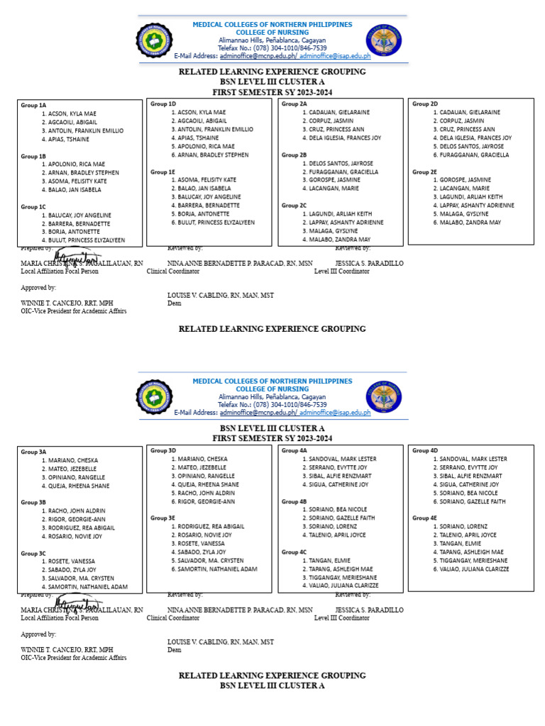 Rle Groupings Level 3 Cluster A Pdf Social Programs Educational