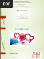 Técnicas Quirúrgicas: Hartmann y Miles | PDF | Cáncer colonrectal | Cirugía