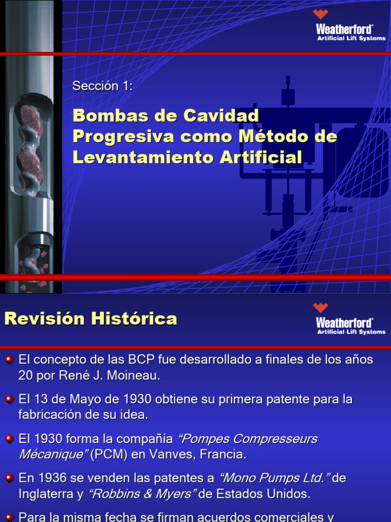 Bombas de Cavidad Progresiva | PDF | Ingeniería mecánica | Ingeniería Química