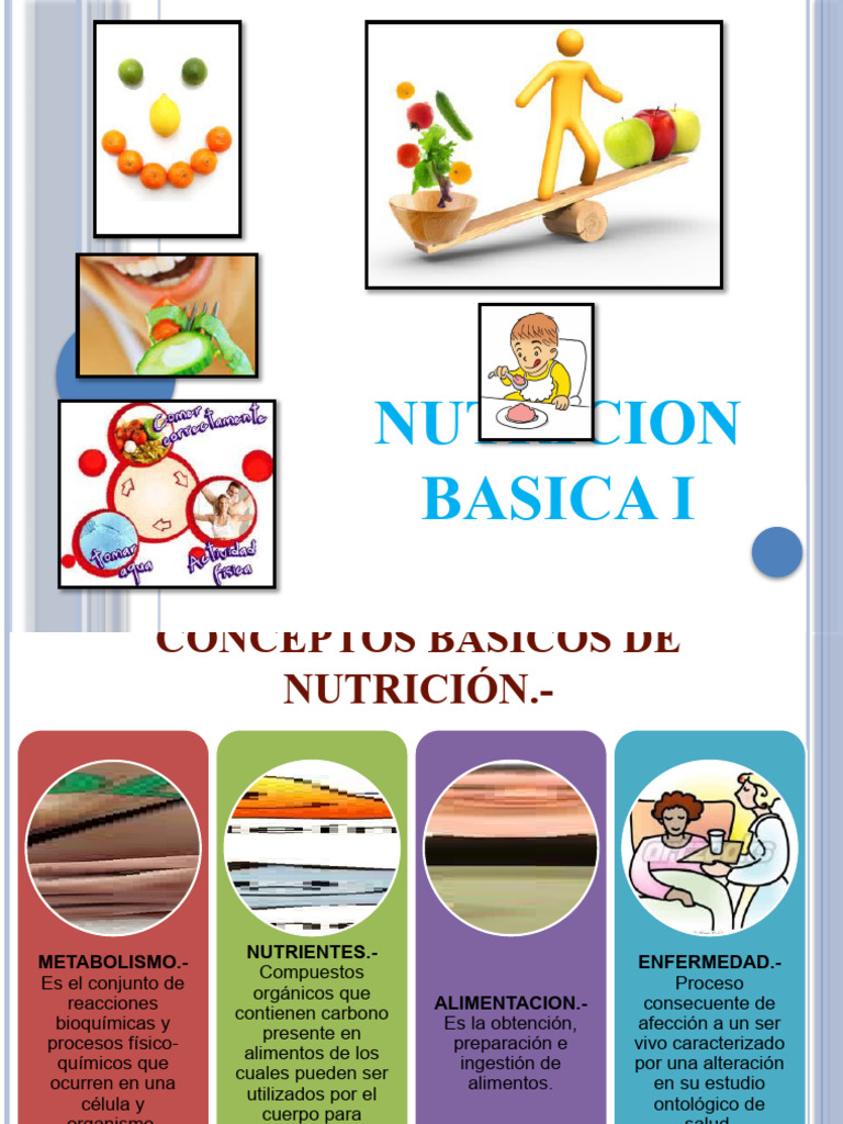 Conceptos Basicos de Nutricion 4567 | PDF | Nutrición | Dieta y nutrición