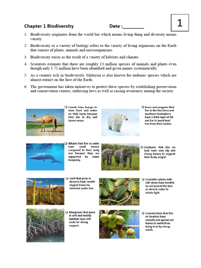 Form 2 Homework Chapter 1 Note1.-1 | PDF | Biodiversity | Plants