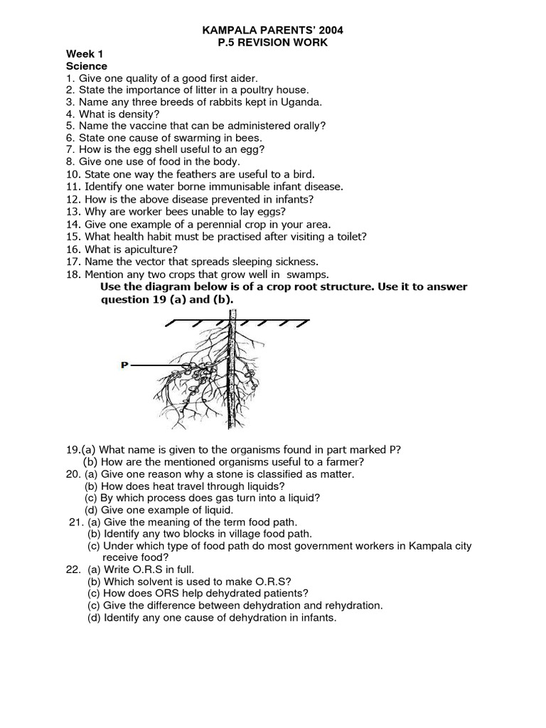 P5 Science Revision Pdf Chicken The Exodus