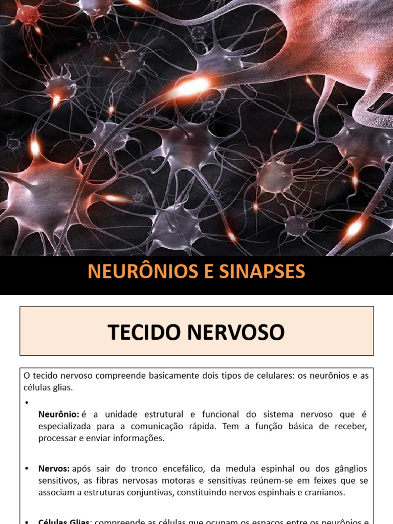 Aula Neurofisiologia Primeiro Bimestre 2024.1 | PDF | Neurônio ...