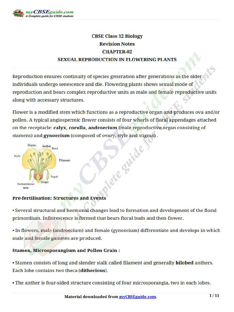 12 Biology Notes ch02 Sexual Reproduction in Flowering Plants | PDF