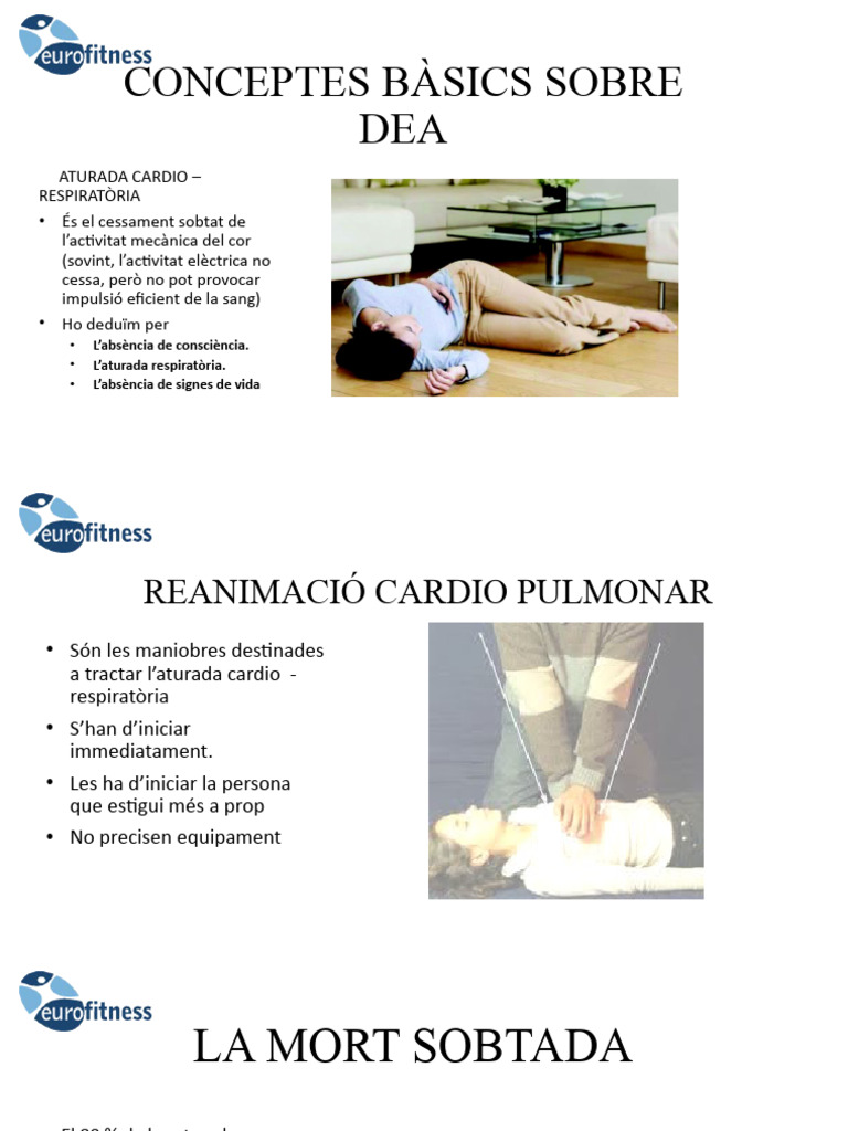 CONCEPTES-BASICS-SOBRE-DEA-2 | PDF