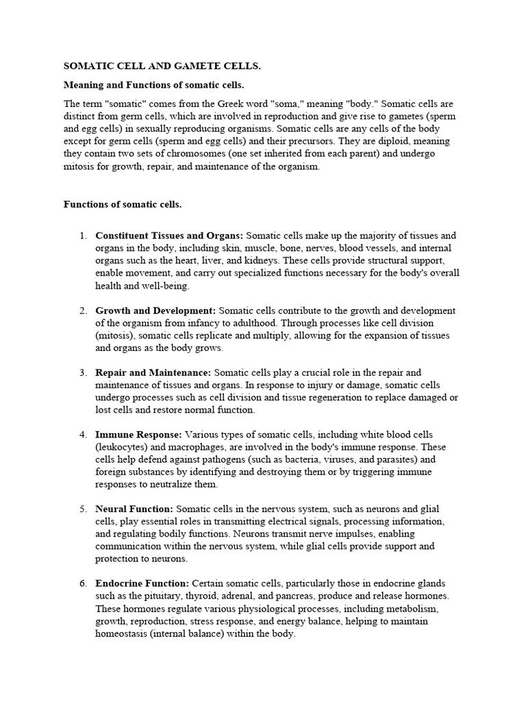 Somatic vs Gamete Cells Explained | PDF | Mitosis | Meiosis