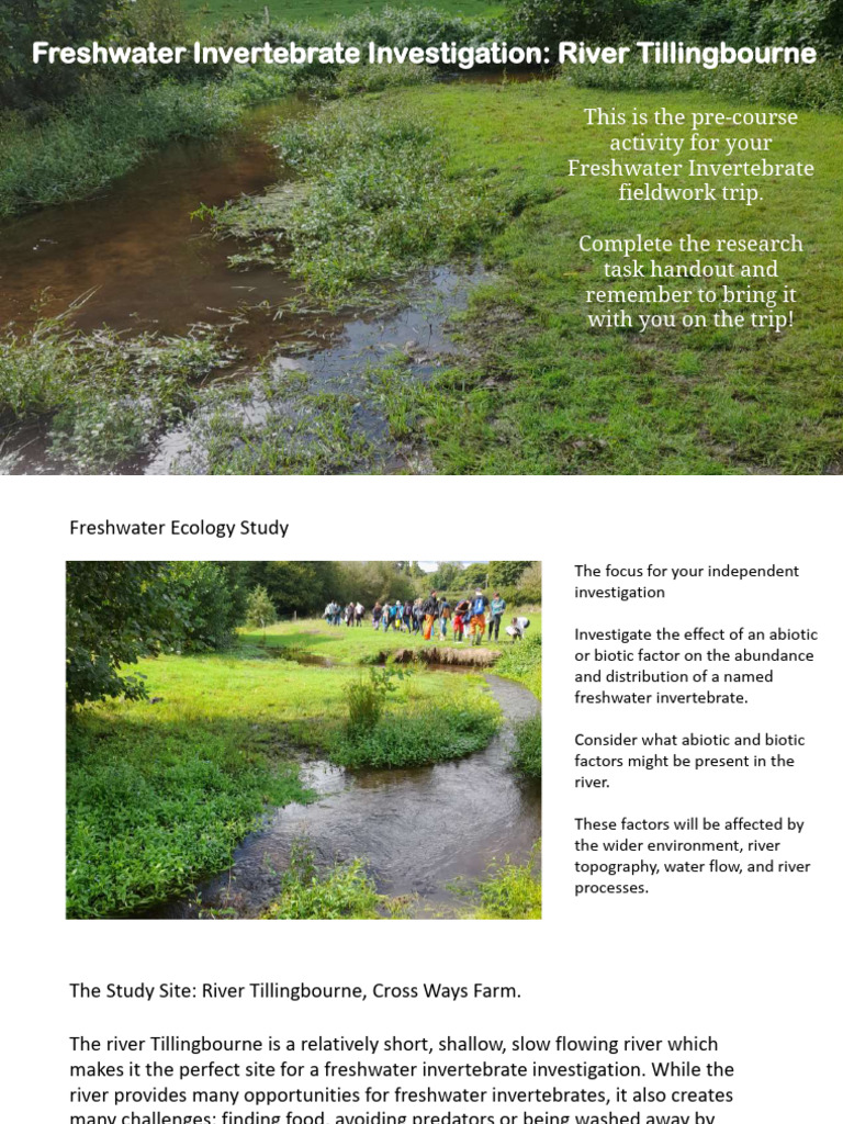 Freshwater Invertebrate Study Guide | PDF | Habitat | River