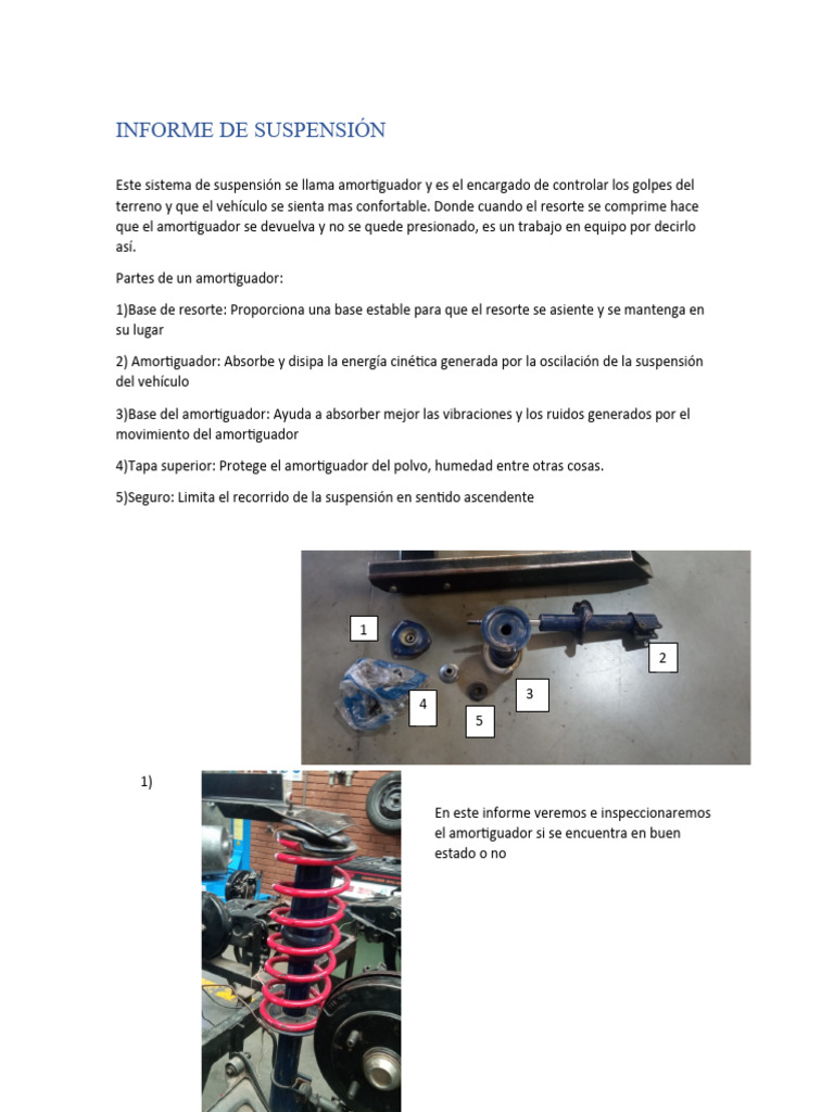 Informe de Suspensión | PDF