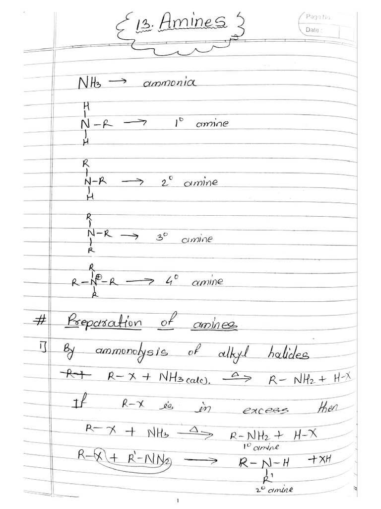 Amines Short Notes | PDF
