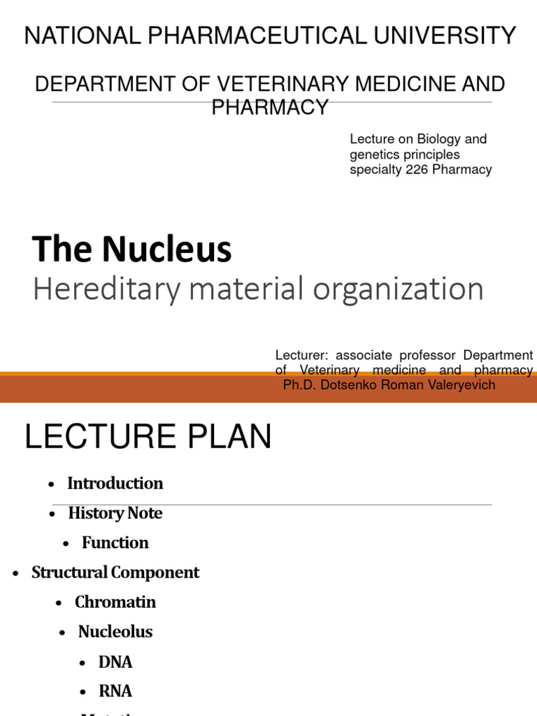 Nucleus | PDF | Ribosomal Rna | Rna