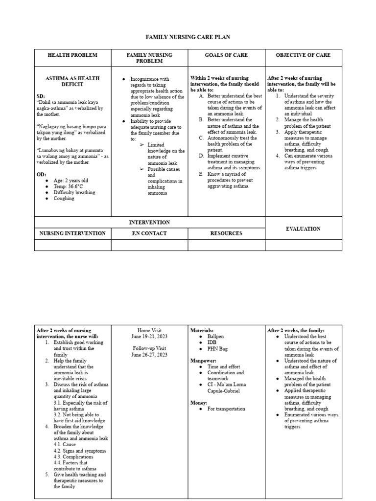28e FNCP | PDF | Asthma | Nursing