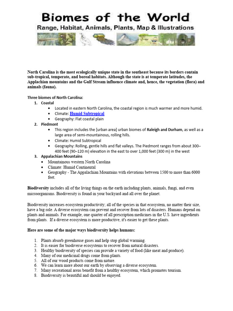 Major Biomes of The World WS | PDF | Ecosystem | Rainforest