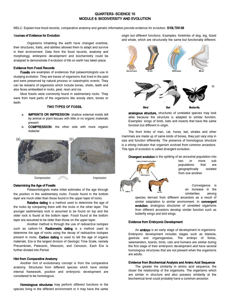 Science MODULE-6-BIODIVERSITY-AND-EVOLUTION | PDF | Fossil | Evolution
