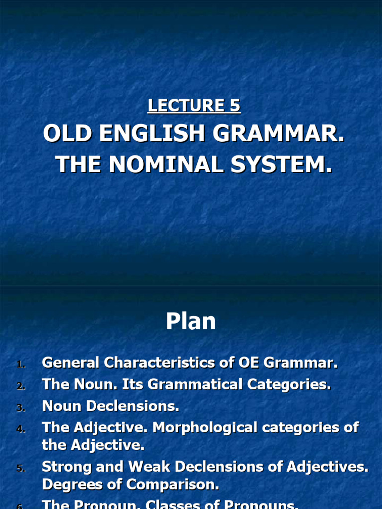 Lecture 5 OE Grammar - Nominal System | PDF | Grammatical Gender ...