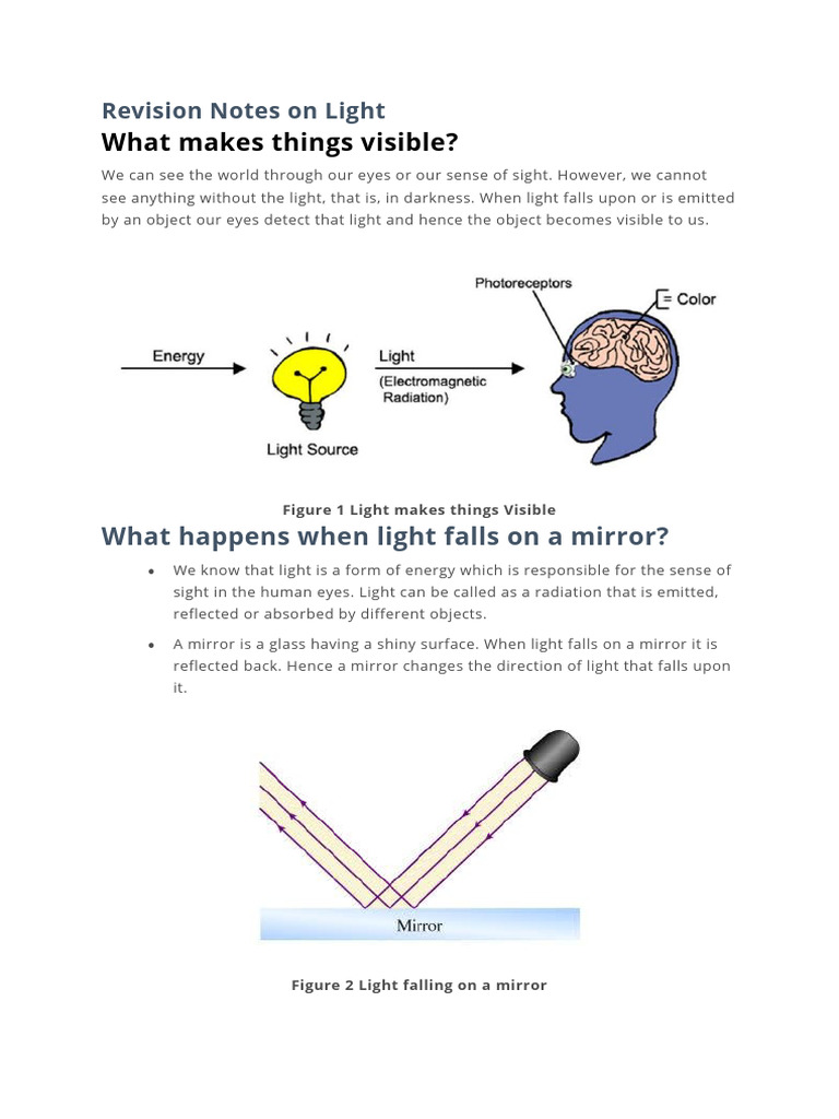 C8 Light NOTES | PDF | Eye | Reflection (Physics)